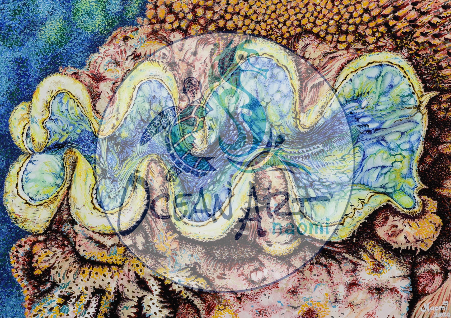 Giant Clams Drawing