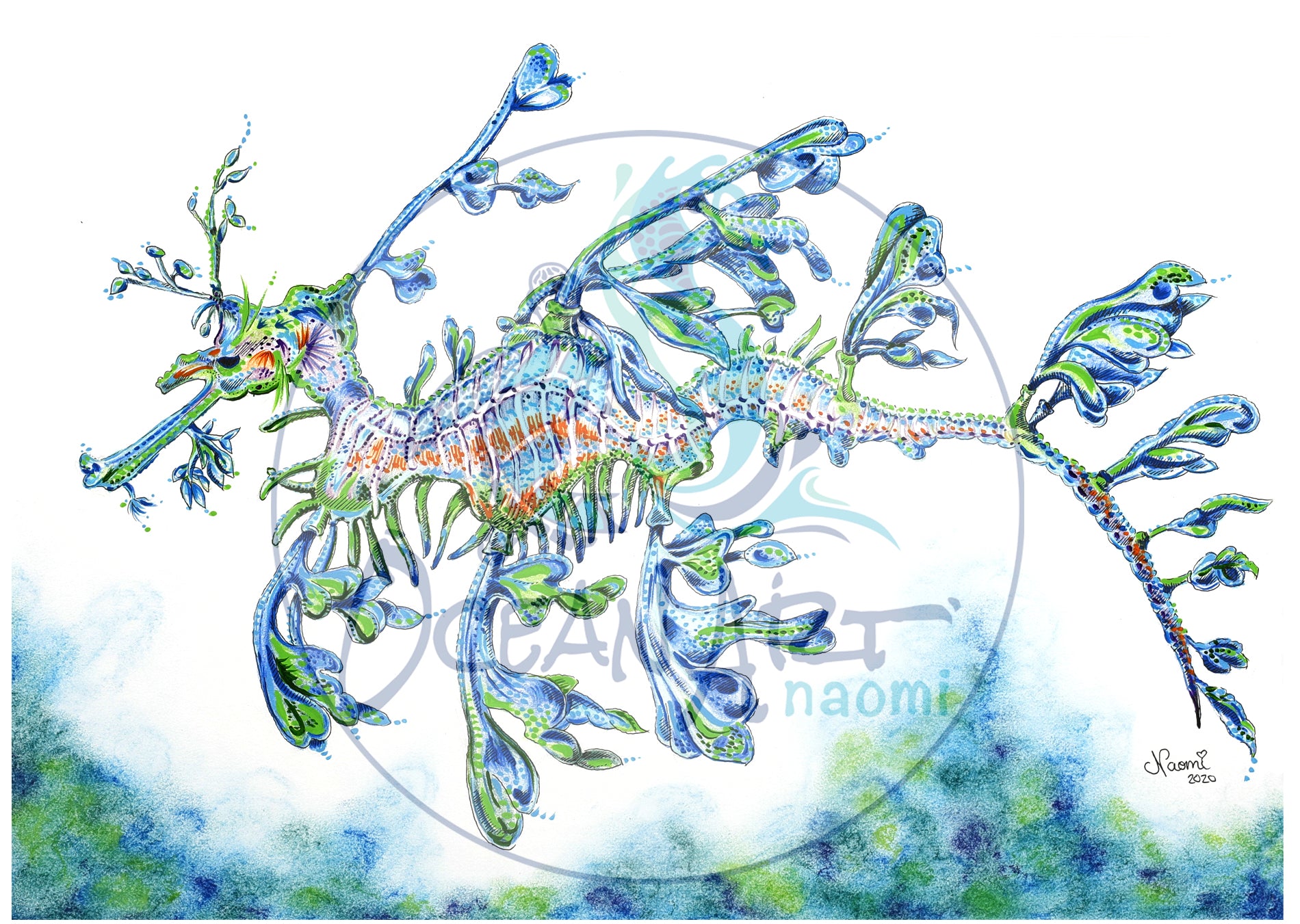 Sea Dragon Paintings Weedy Seadragon Animal Drawing Art